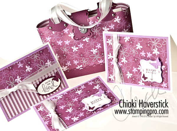 Updated Purse Bag with Cards